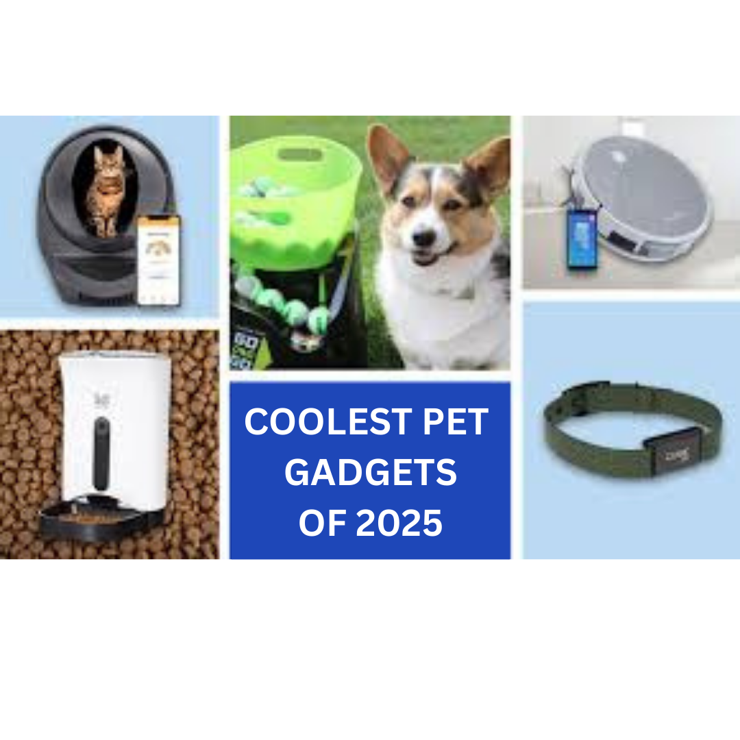 From GPS Collars to Smart Feeders: The Coolest Pet Gadgets of 2025 ...